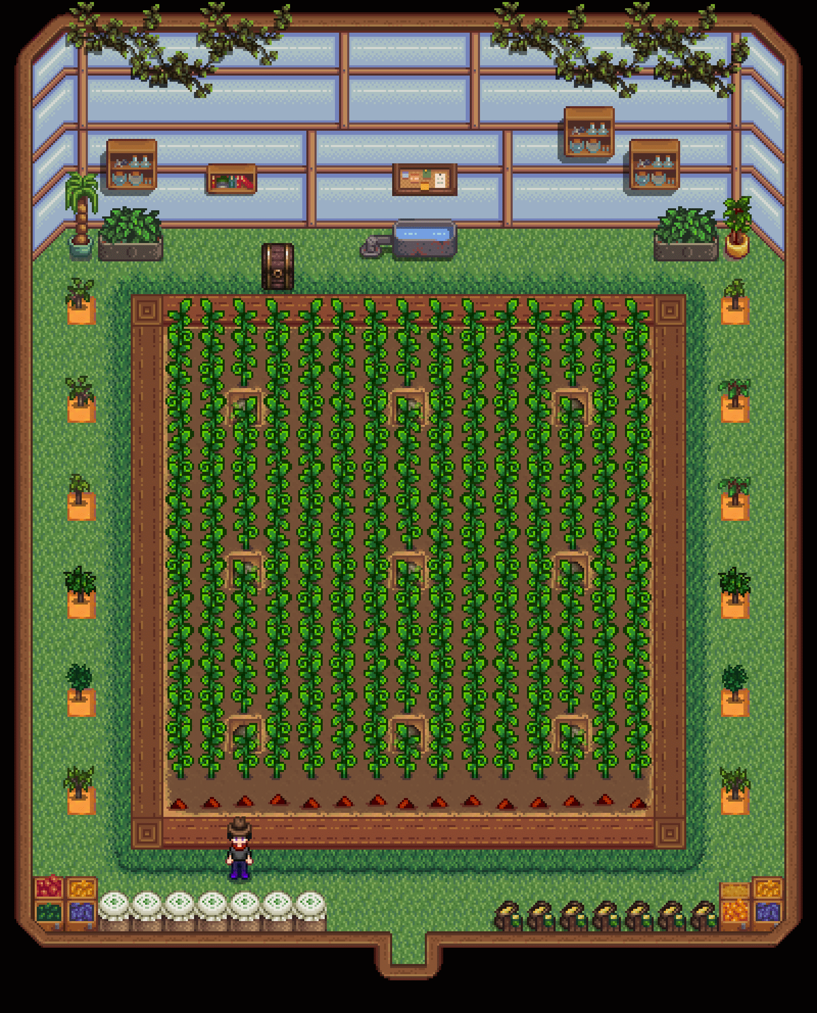 Top 20 Best Stardew Valley Map Mods – Stardew Guide