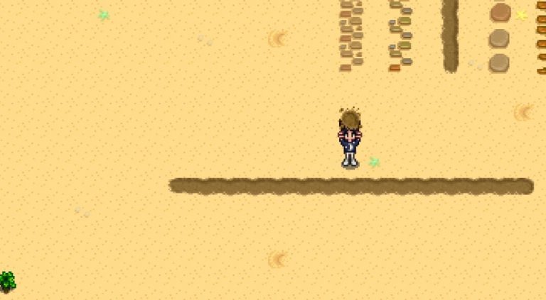 Stardew Valley Paths: Different Types, Designs, Decay, and More ...