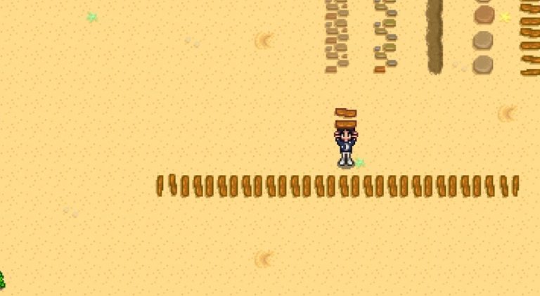 Stardew Valley Paths: Different Types, Designs, Decay, and More ...