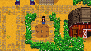 9 Amazing Ways To Use Paths in Stardew Valley – Stardew Guide