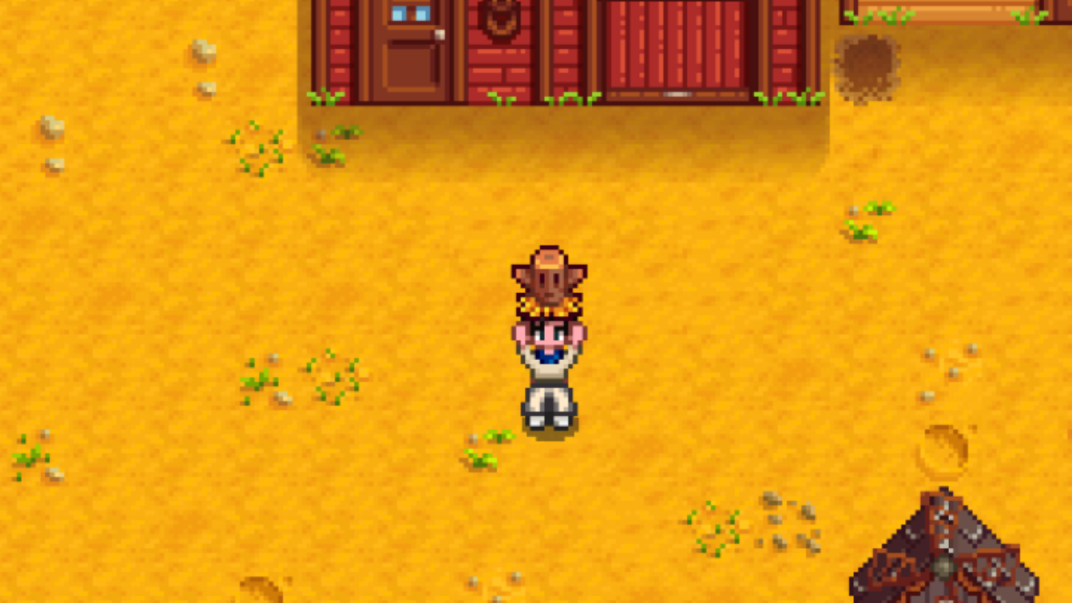 Coconut: Uses, Benefits, and More – Stardew Guide