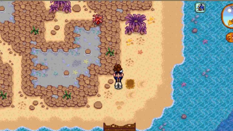 HOW to Get Clay in Stardew Valley | Full Guide 2022 – Stardew Guide