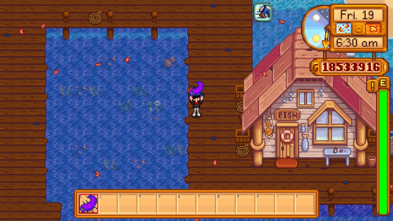 13 Best Fish to Catch in Stardew Valley