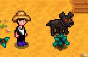Top 20 Stardew Valley Dog Mods – Stardew Guide