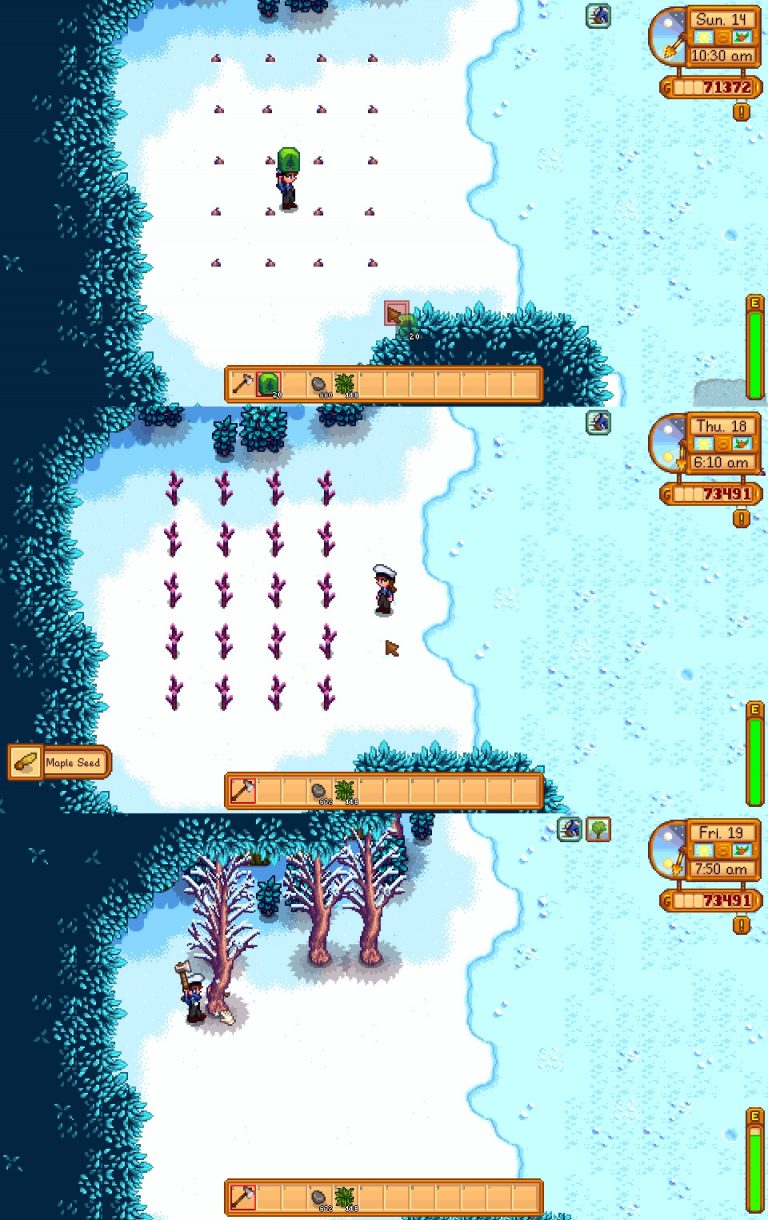 Foraging 101: How to become the Best Gatherer – Stardew Guide