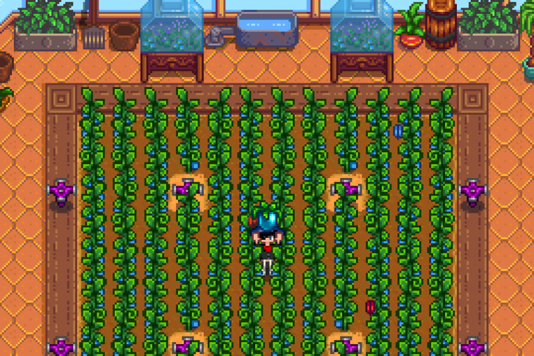 Stardew Valley Greenhouse: 16 Best Crops to Grow – Stardew Guide