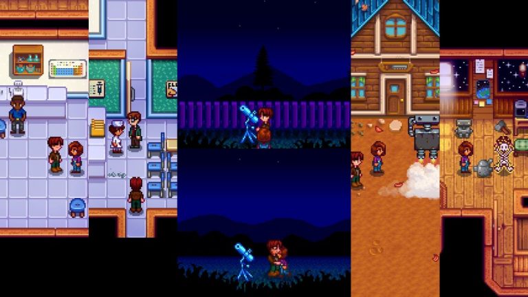 6 Best Wife in Stardew Valley (Ranked) – Stardew Guide