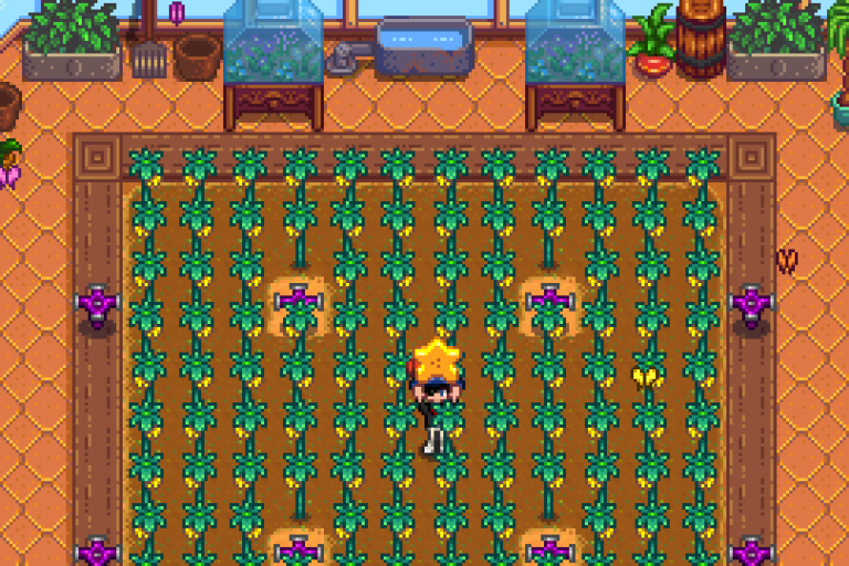 Stardew Valley Greenhouse: 16 Best Crops to Grow – Stardew Guide
