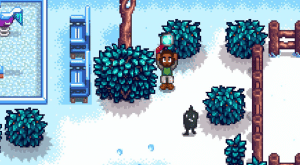 Solid Gold Lewis – What Is It And How To Get It – Stardew Guide