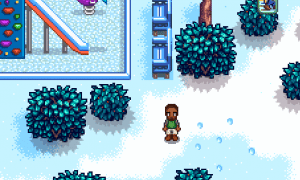 Solid Gold Lewis – What Is It And How To Get It – Stardew Guide