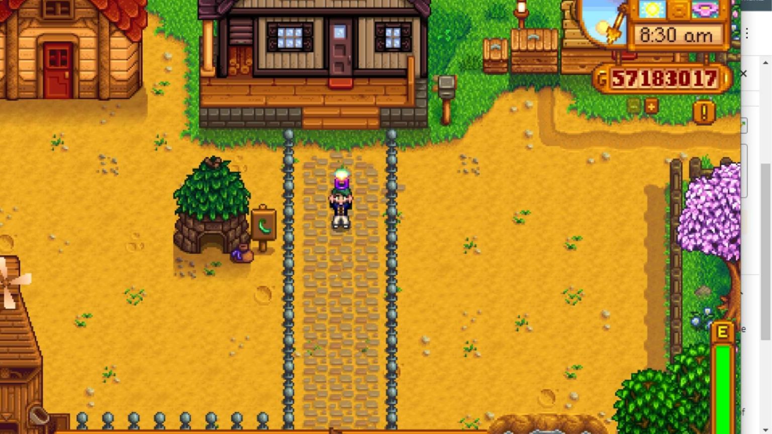 Complete Guide to Multiplayer Marriage in Stardew Valley – Stardew Guide